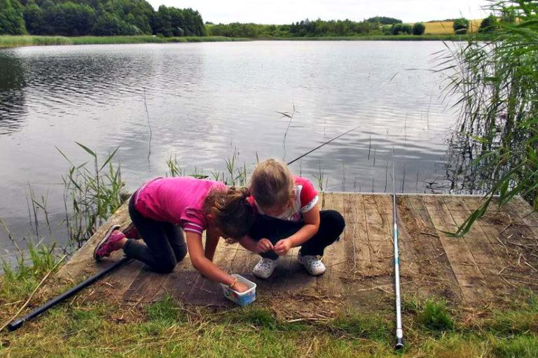 Anglerverein SAG Güstrow - Angelverein Sportanglerclub Güstrow